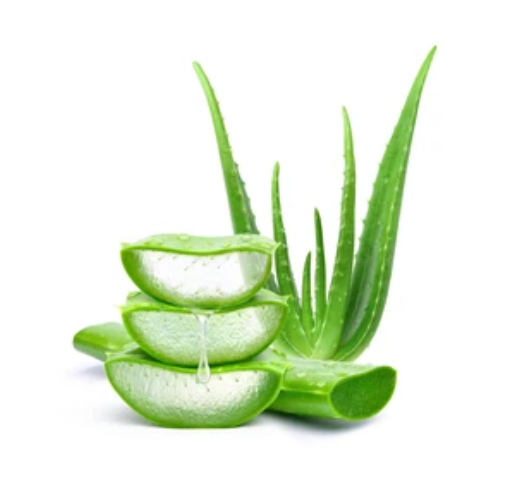 Aloe Vera Extract - Buy Aloe Vera Extract, Aloin Aloe Vera Extract ...